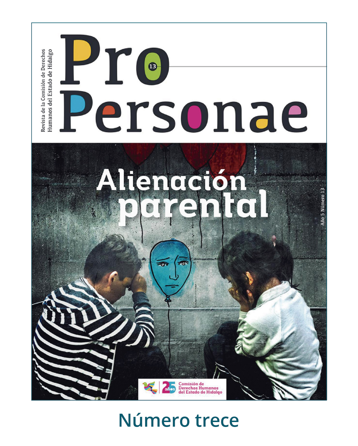 Revista Pro Personae - CDHEH